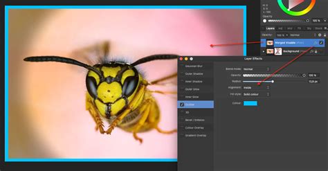 Problem Adding A Border After Cropping Desktop Questions Macos And Windows Affinity Forum