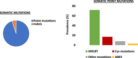 Somatic Ret Mutations In Sporadic Mtc Can Be Either Point Mutations And