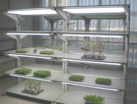 生元培养架型人工气候室 报价 价格 性能参数 图 郑州 生元 生物器材网