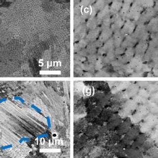Ebsd Ipf Map Kam Map And Fsd Map Of Microstructure On Xz Plane Step