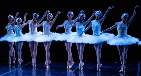 Photos From Boston Ballets Swan Lake