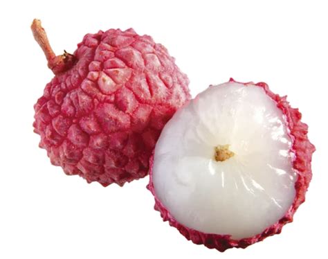 Capfruit Fruit Puree Lychee 1kg At Rs 1176 Kg In Mumbai Id 2851977636755