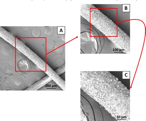 Figure 4 From Toward Producing Biopolyethylenebabassu Fiber