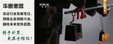永康市华鹰衡器有限公司 电子秤生产厂家 天平秤经销商 电子台秤