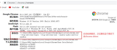 pyecharts渲染图片的三种方法 python 安装 snapshot selenium csdn博客