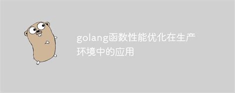 Golang函数性能优化在生产环境中的应用 叮当号