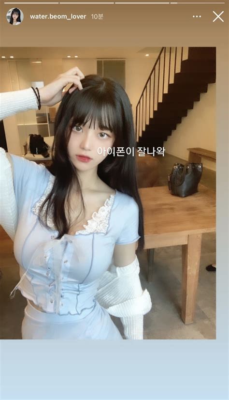 쵸단 인스타 스토리 치지직 에펨코리아