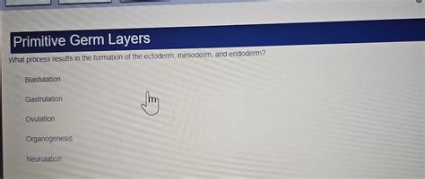 Solved Primitive Germ Layerswhat Process Results In The