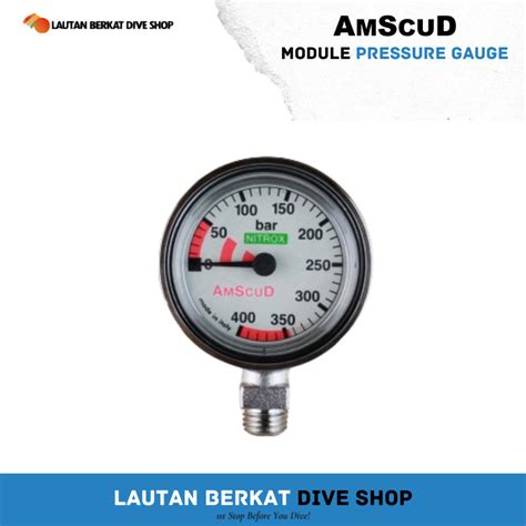 Jual Amscud Pressure Gauge Module Only Shopee Indonesia