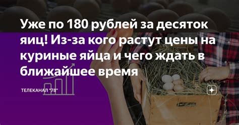 Уже по 180 рублей за десяток яиц Из за кого растут цены на куриные