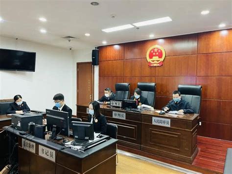 虚假代购爱马仕手提包，被告人犯诈骗罪获刑三年三个月朱某网络罚金
