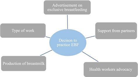 Decision To Practice Exclusive Breastfeeding Download Scientific Diagram