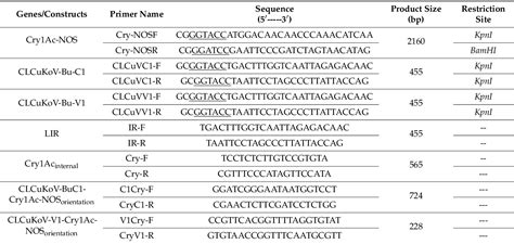 Table 2 From Development And Evaluation Of The Cotton Leaf Curl Kokhran