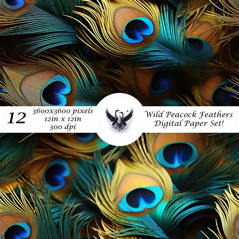 Peacock Feathers Digital Paper Set Etsy