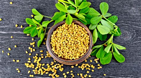 Fenugreek As A Natural Testosterone Booster Healthkart