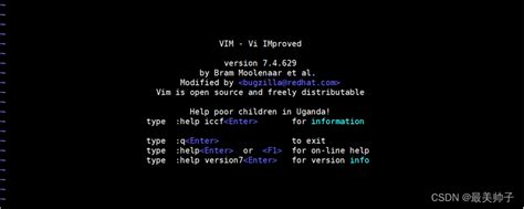 Vim入门文本编辑命令（常用）vim添加注释 Csdn博客