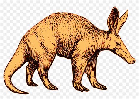Free Clipart Of A Profiled Aardvark Wildlife Boba Guys Free