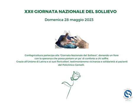 Domenica La XXII Giornata Nazionale Del Sollievo Confagricoltura Ancora Una Volta Vicina A Chi