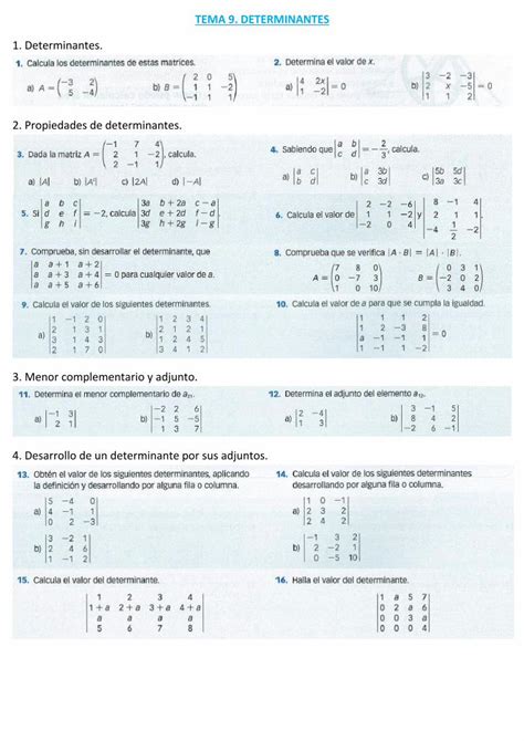 Pdf Tema 9 Determinantes · Calcula E Valor De Los Determinantes De