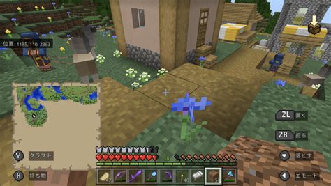 行商人が2人 アラフィフの自由気ままなブログ時々マイクラ
