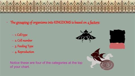 6 Kingdoms Classification Ppt
