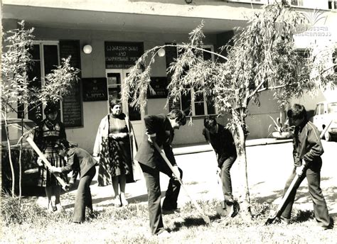 Iverieli 161 ე სკოლის მოსწავლეები შრომის გაკვეთილზე