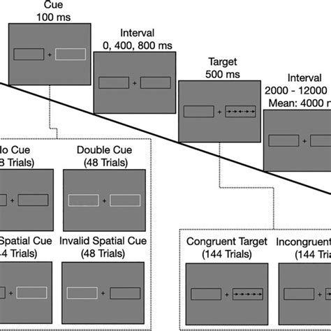 Schematic Overview Over Stimuli And Stimulus Timing In A Typical Trial