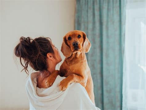 7 benefícios de ter um animal de estimação Portal do Dog