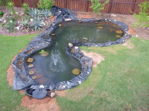 Part 7 Pond Construction Adding Pond Plants Home Raised Aquatics