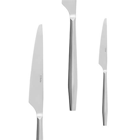 Vector Ganz Poliert Table Knife