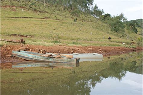 Ecosystemic Services Copel Eng