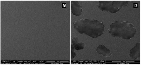 Figure 1 From Simultaneous Electrochemical Preconcentration And Determination Of Dopamine And