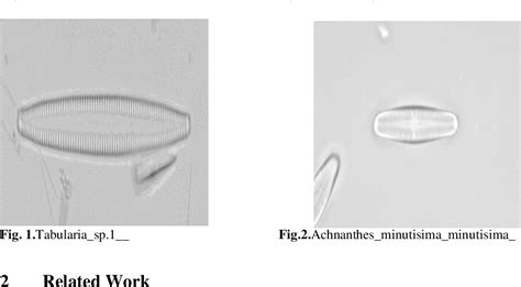 Figure 1 From Hierarchical Classification Of Diatom Images With