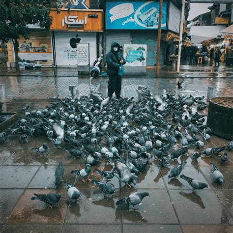 باز باران با ترانه طرفداری