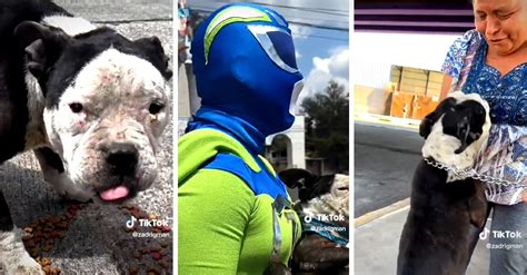 Perrita Se Reencuentra Con Su Dueña Después De Dos Años