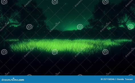 Green Glowing Grass Meadow By Night Loop Abstract Landscape Motion