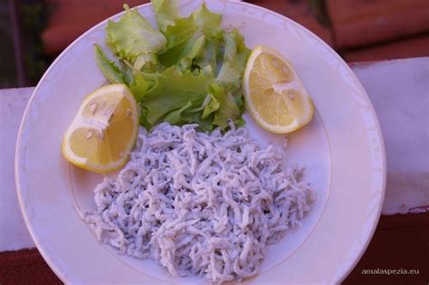 Bianchetti Il Giornale Dei Marinai