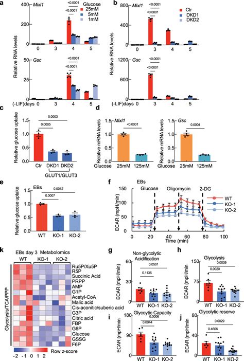 Nemep Facilitates Glucose Uptake During Mesendoderm Differentiation A