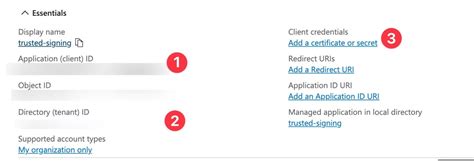 Code Signing On Windows With Azure Trusted Signing · Melatonin