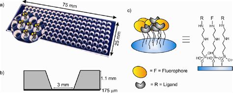 figure 1 from cross reactive sensor array for metal ion sensing based