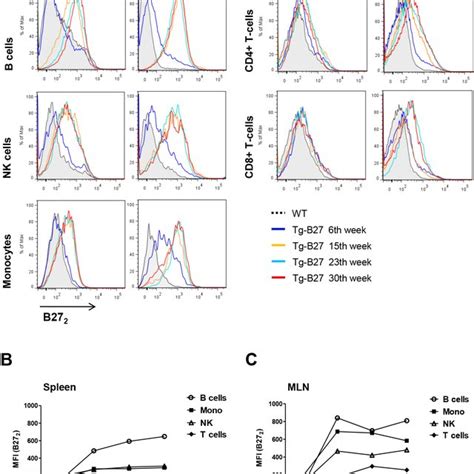 Detection Of Cell Surface B27 2 In Leukocyte Populations Of Hla B27