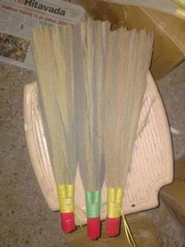 Broom Grass In Nagpur झाड़ू की घास नागपुर Maharashtra Get Latest