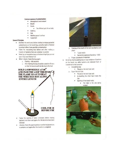 Solution Basic Aseptic Technique And Inoculation Of Bacteria Studypool