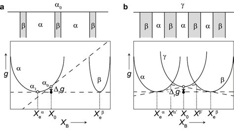 Schematic Drawing Of Reaction Microstructure And Corresponding Molar