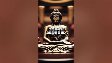 최고의 신 부처님 부처님말씀 진리 진리의말씀 인생 Youtube