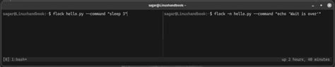 Using Flock Command In Linux