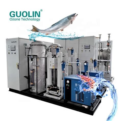 Capacity Is Adjustable Aquaculture System G Treatment Purification Water Ozone Machine