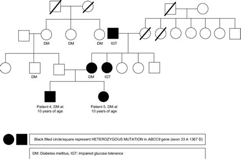 Pedigree Of Patient Nd And Bd With Dominant Inactivating Mutation In Download Scientific