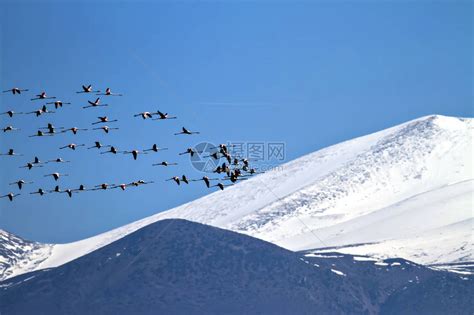 Erciyes
