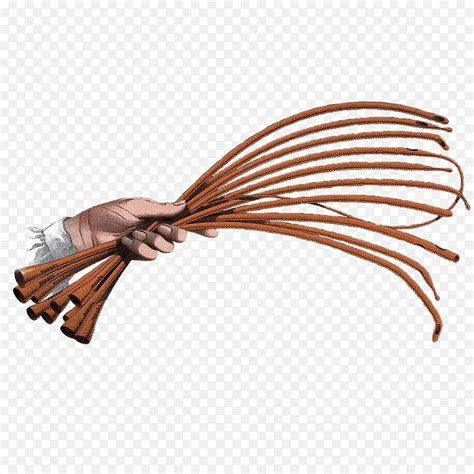 Png Png